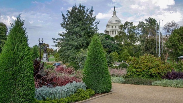 10 Best Gardens in Washington, DC - Discover Our Tours